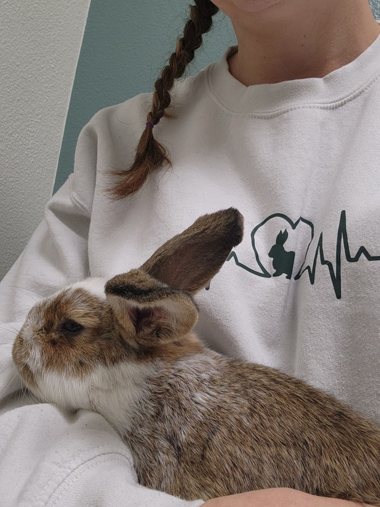 Saving Rabbits One Hop At A Time